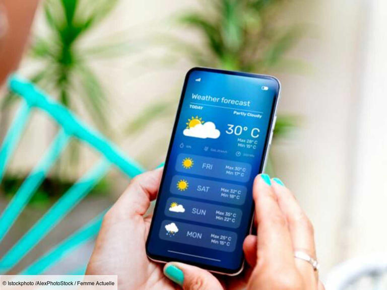 Fortes chaleurs, orages, vent... À quelle météo s'attendre cette semaine