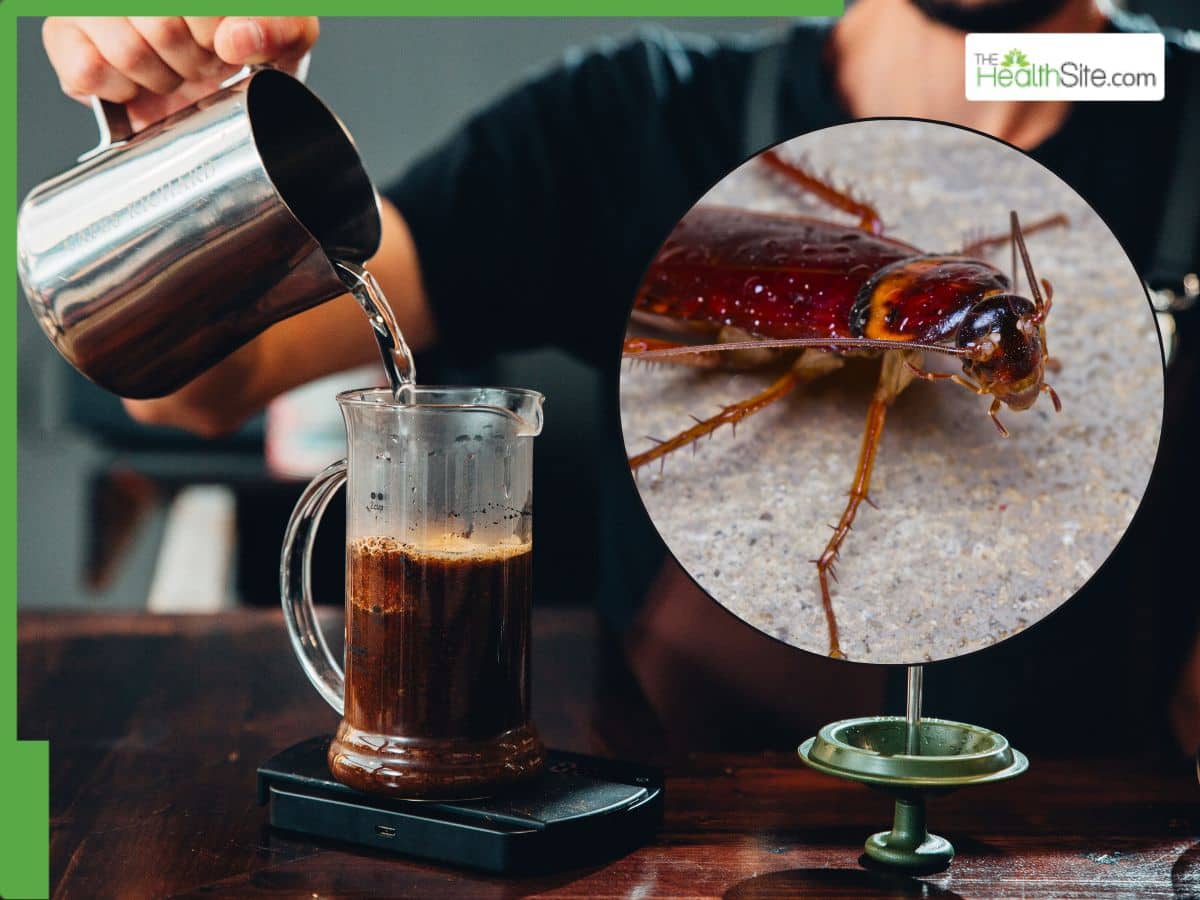 Cockroaches in Coffee? Pre-Ground Coffee May Contain Cockroach Parts ...