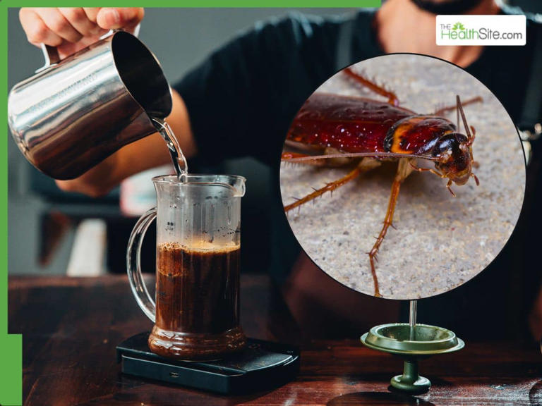 Cockroaches in Coffee? Pre-Ground Coffee May Contain Cockroach Parts ...