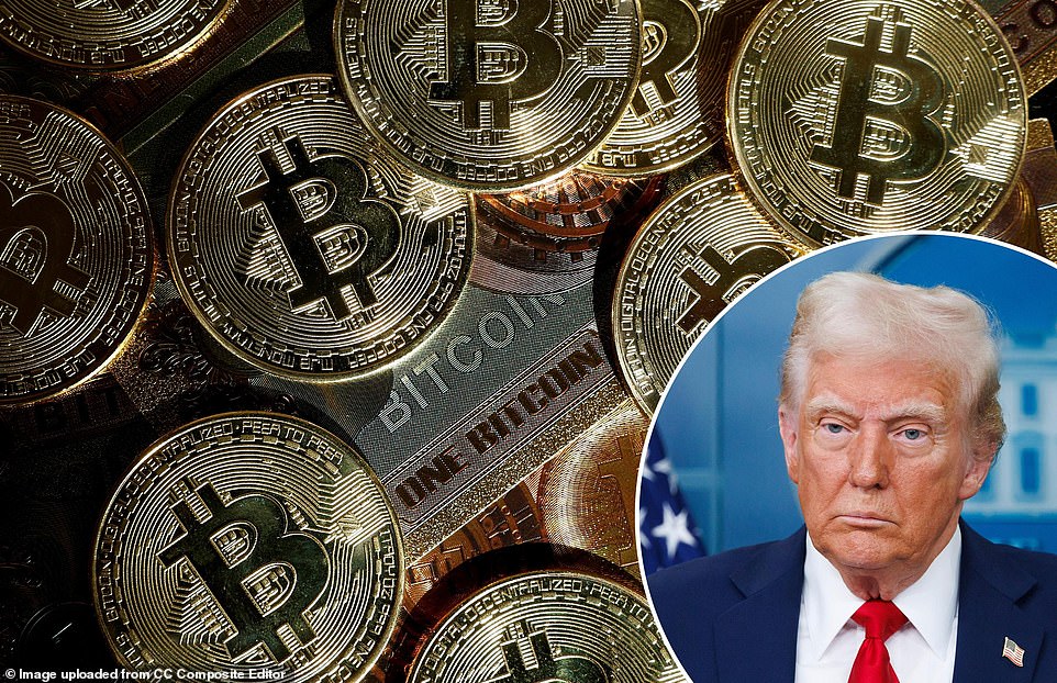 Why Bitcoin has gained more than 70% since Trump was elected
