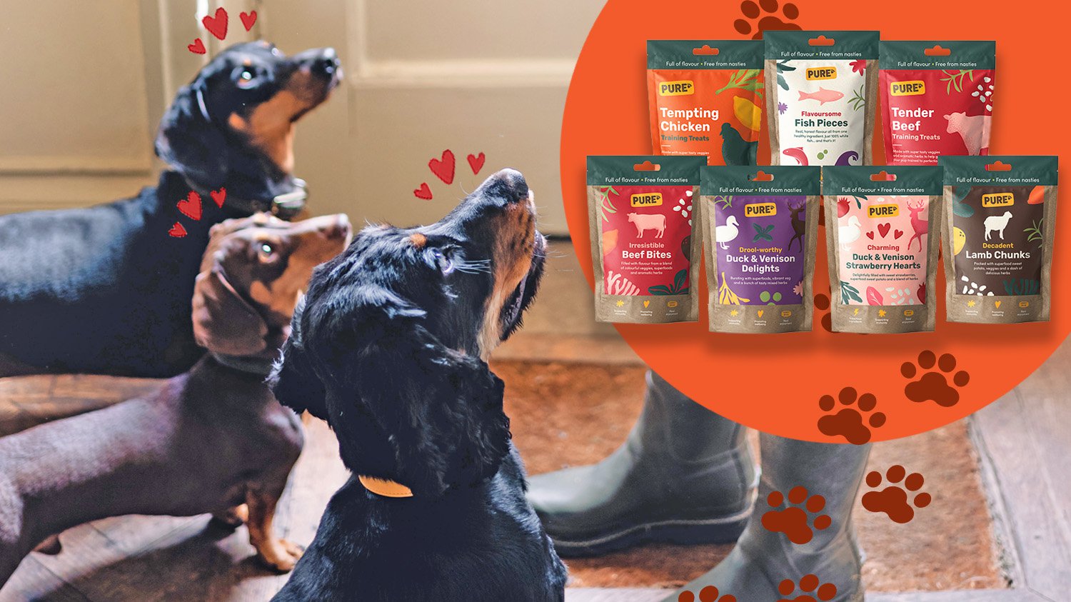 Get 40 per cent off personalised dog food this summer