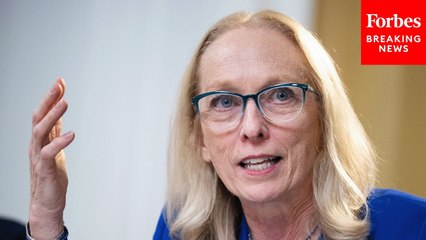 'Products Of The D.C. Swamp': Mary Gay Scanlon Slams GOP's 'Industry ...