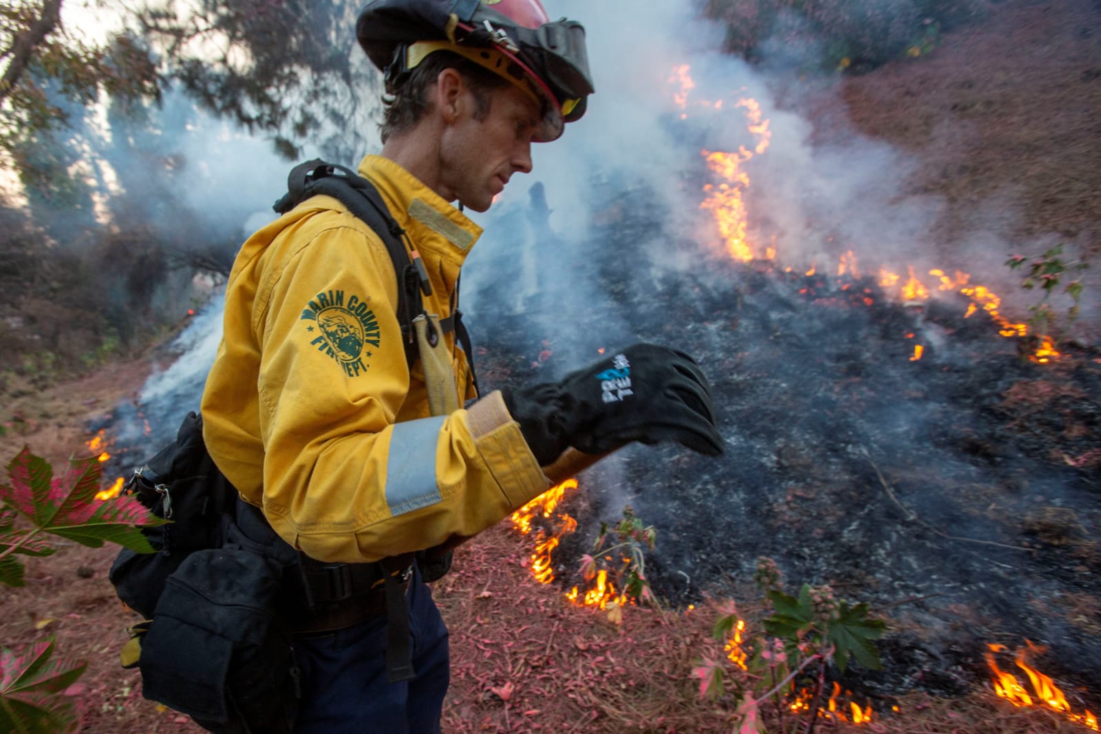 California's plea for urgent wildfire aid still hasn't been seen by ...