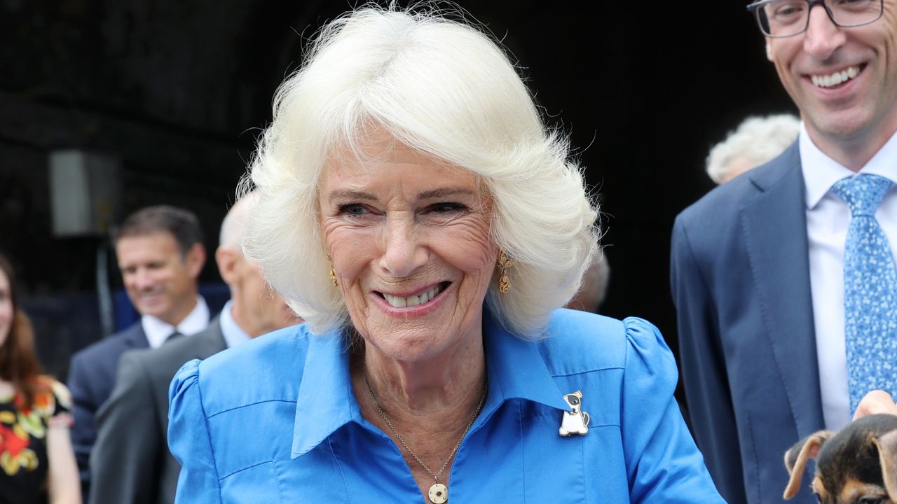 Queen Camilla embraces premium high street accessories with this new raffia bag - and it’s still ...