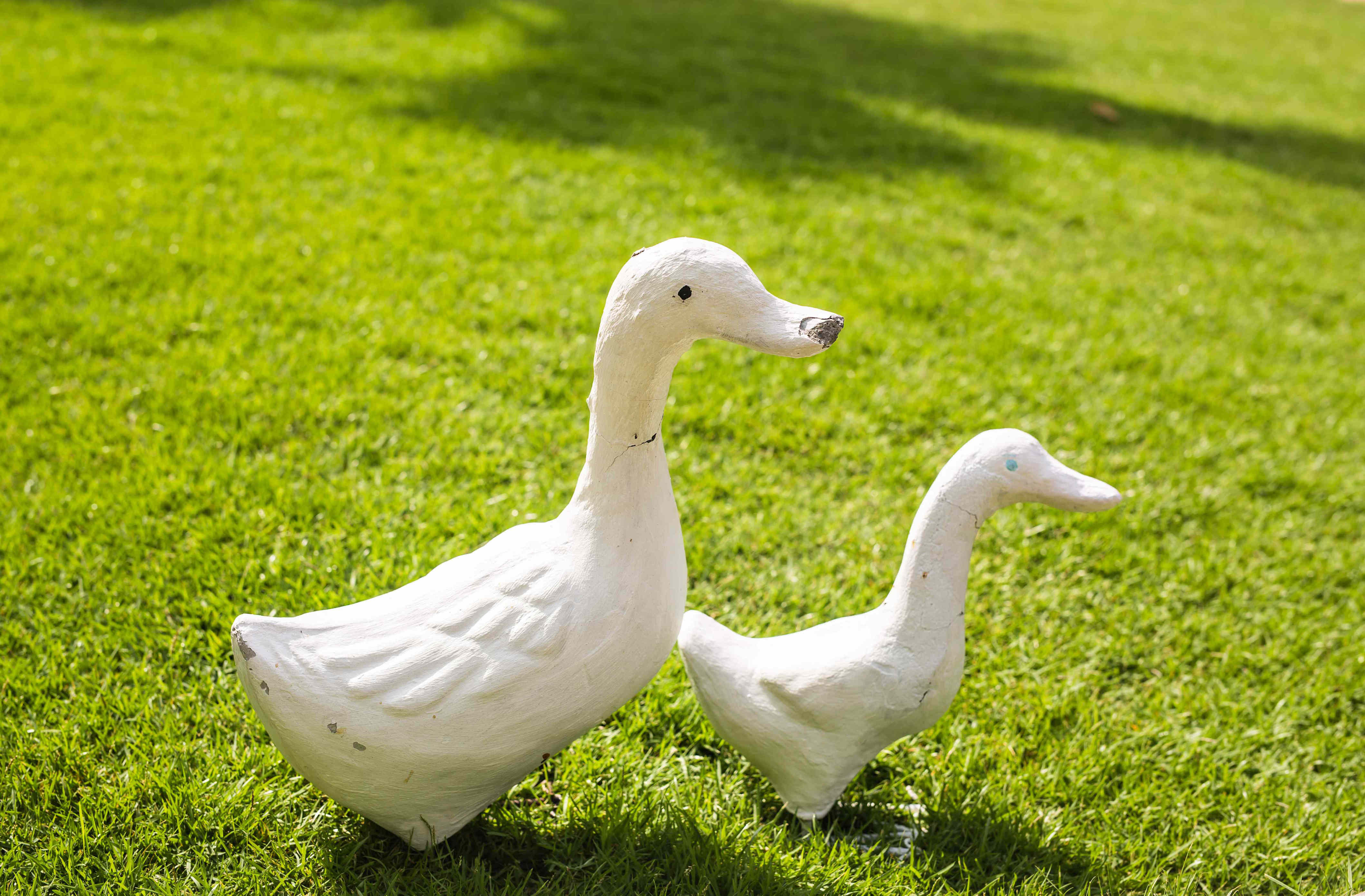 Meet the Porch Goose: Grandma's Favorite Lawn Decor Is Getting a Whole ...