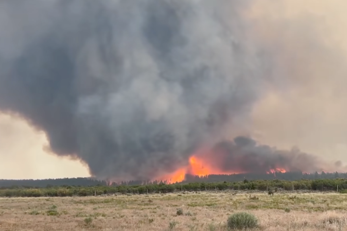 Watch moment Utah wildfire turns into huge fire vortex