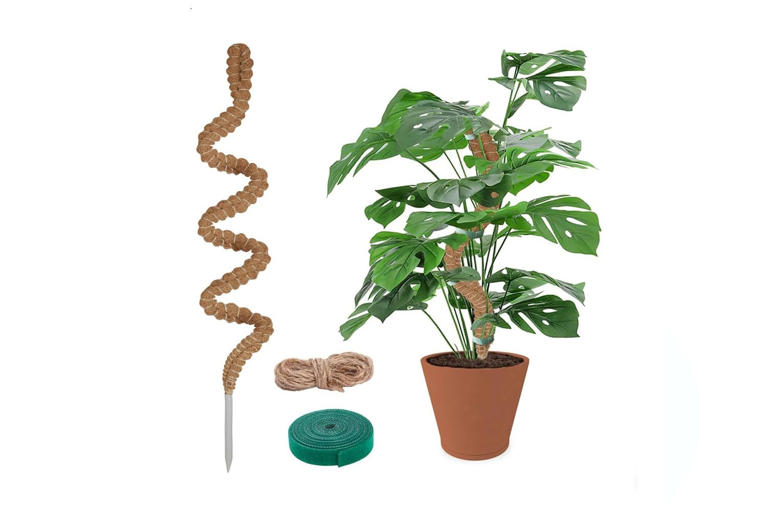 Basic plant care: Essential tools for happy houseplants