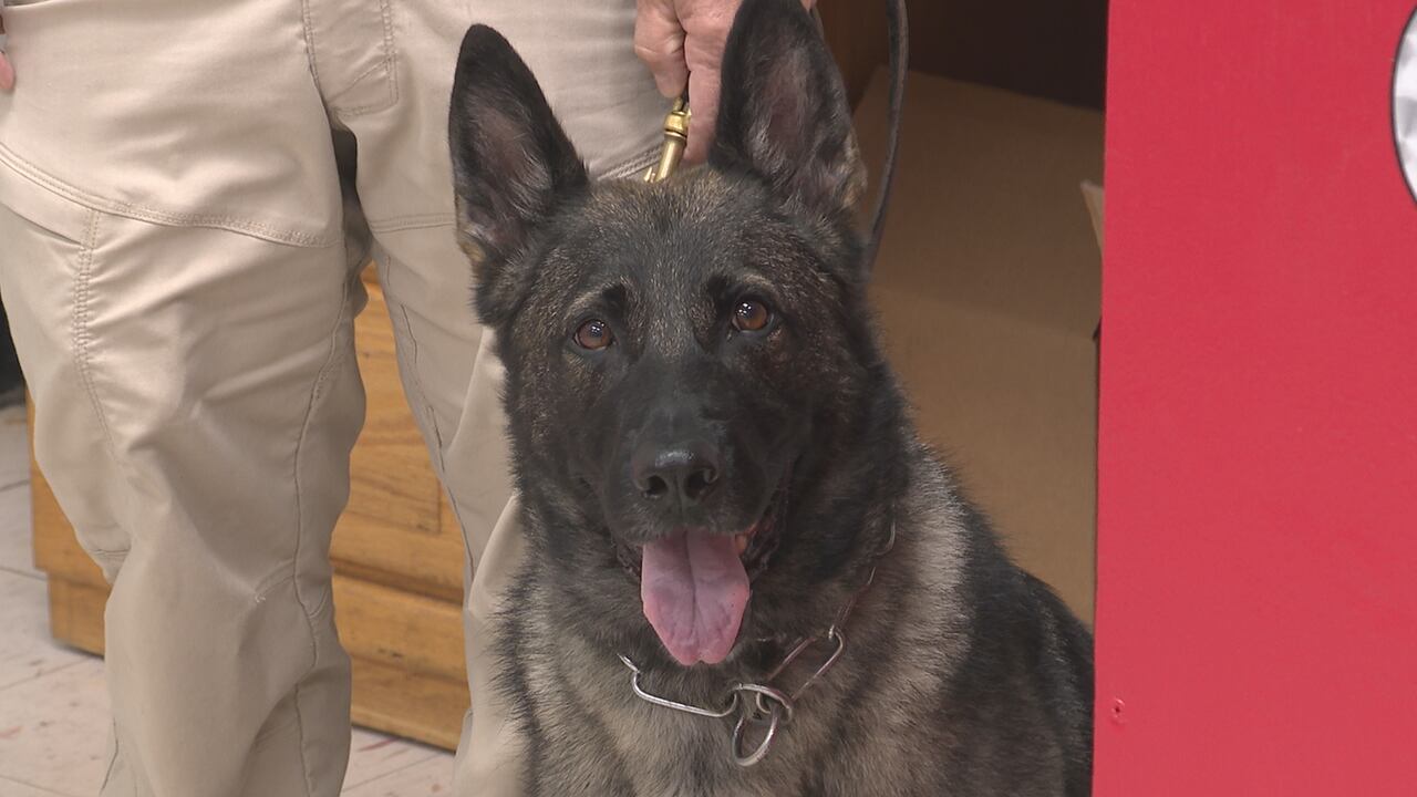 Meridian Fire Department introduces new bomb sniffing dog