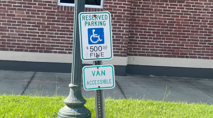 SC Lawmaker proposes making pregnancy alone qualify for accessible ...