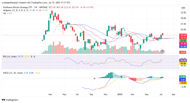 BITO price rediction 2025-2031: Is BITO a good buy?