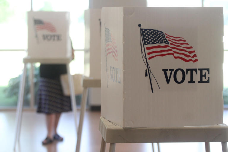 See Nevada's governor candidates' stances on 4 key issues before primary