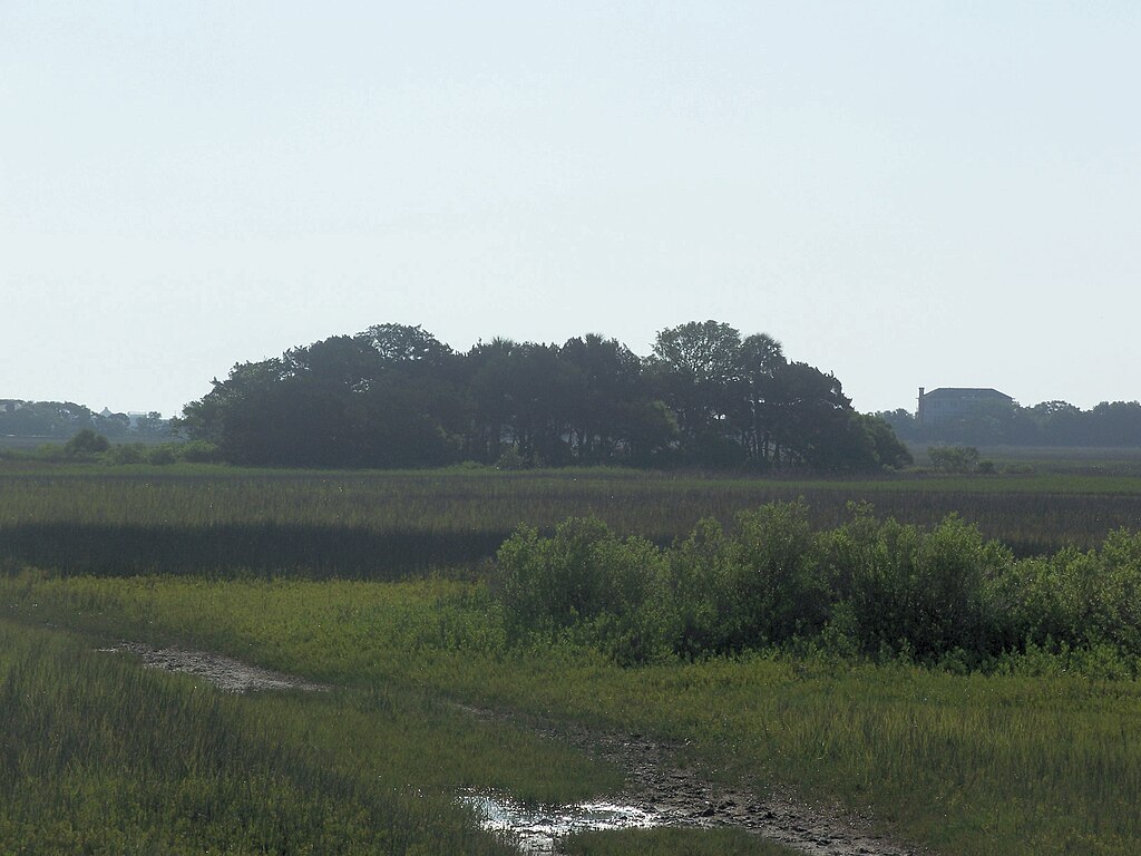 How runaway slaves created a military fortress in Spanish Florida that ...