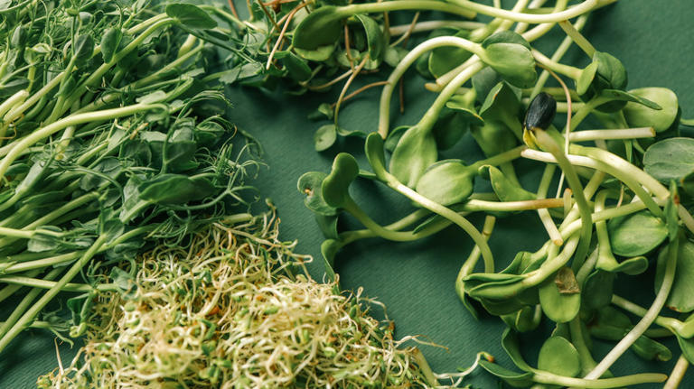 The Greens You Should Avoid Adding To Your Make-Ahead Sandwich