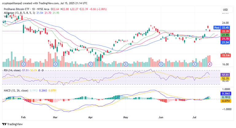 BITO price rediction 2025-2031: Is BITO a good buy?