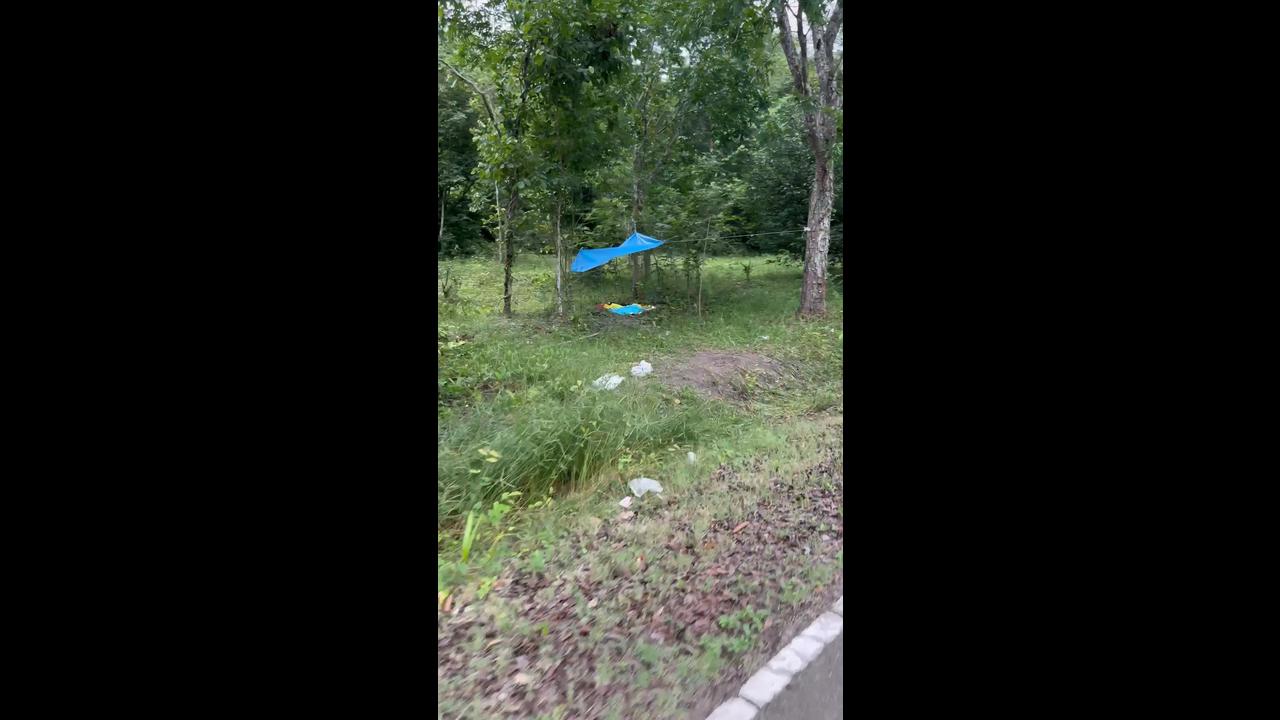 Crying puppies persuade passing motorcycle rider to adopt them