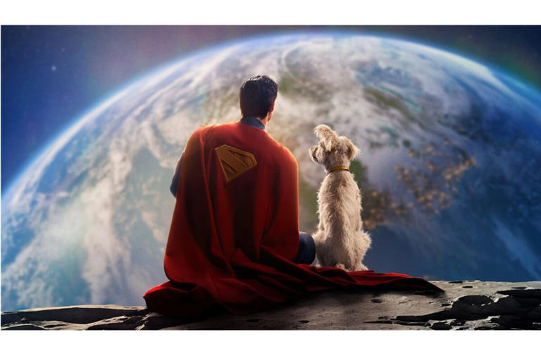 Texas legislative committees to prioritize disaster response