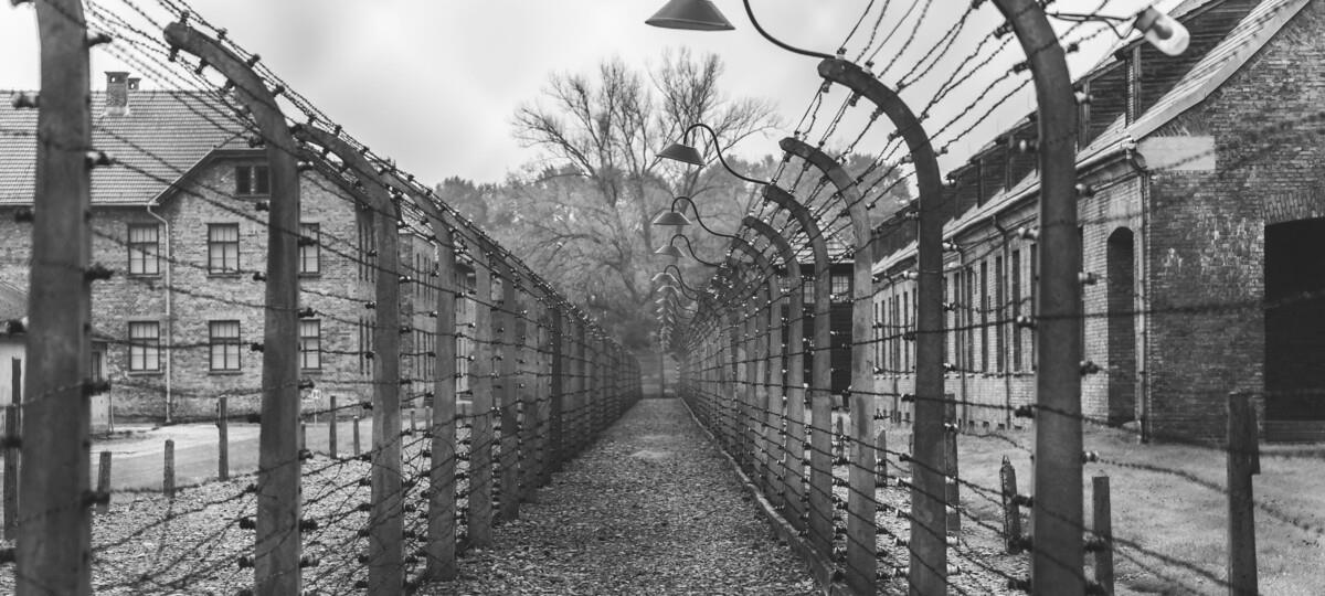 Harking Back to History