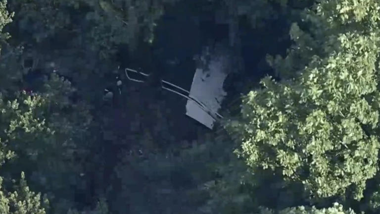 Dramatic video captures Florida small plane crash, all 4 aboard survive