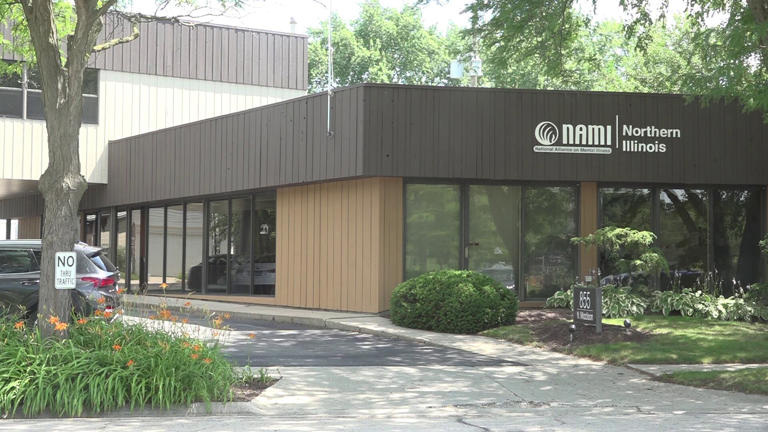 NAMI Northern Illinois collecting essential items for those in need