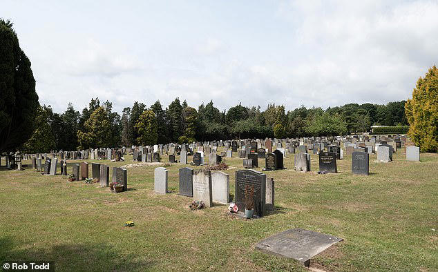 Fury over plans to build 20 luxury homes over dead bodies after council ...