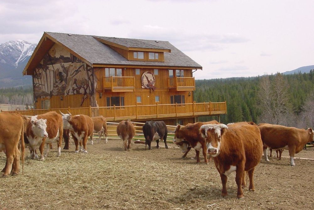17 Authentic Cattle Ranch Towns Worth Visiting
