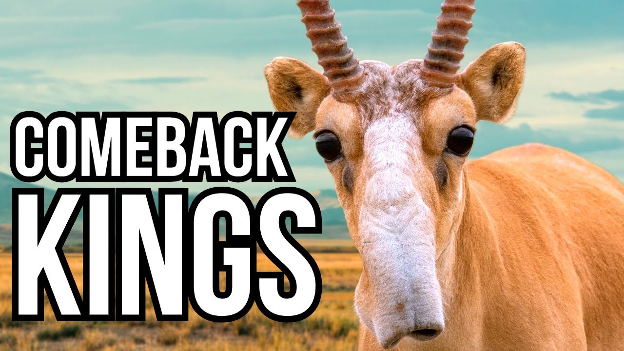 3 Resilient Animals That Refused To Go Extinct