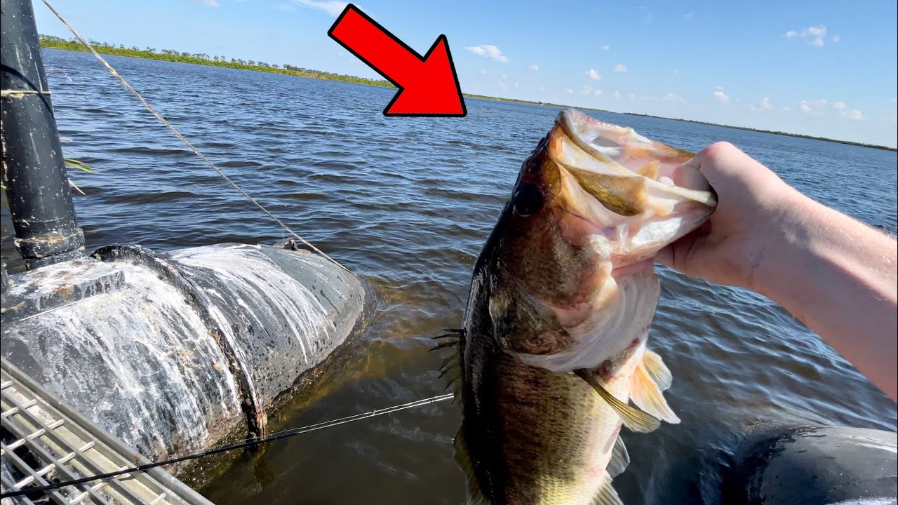 Catching MONSTER Fish in my SECRET 10lb Bass Lake!!!