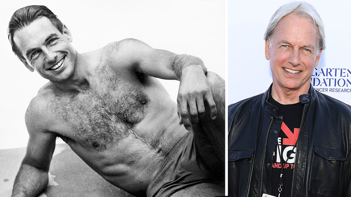 Tim Daly, 69, & Téa Leoni, 59, Get Married! Inside Their 10-Year TV Romance