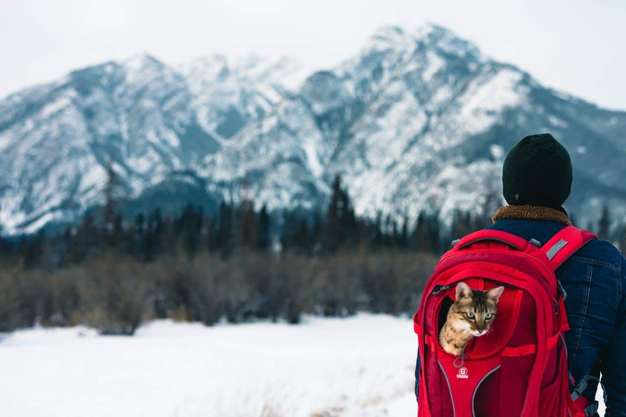 Canada Named 3rd Safest Country in the World for Travelers in 2025