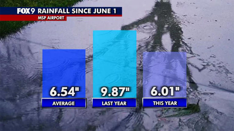 Minnesota weather: Here's how much rain has fallen in first half of summer