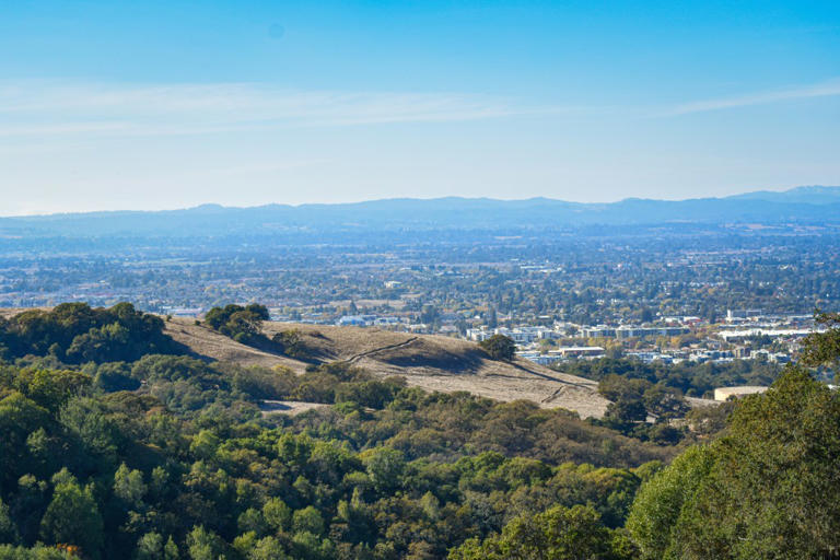 Taylor Mountain trail expansion opens more of Sonoma County’s forests ...