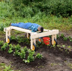 Easy Gardening Hacks to Grow More While Spending Less 💰🌱