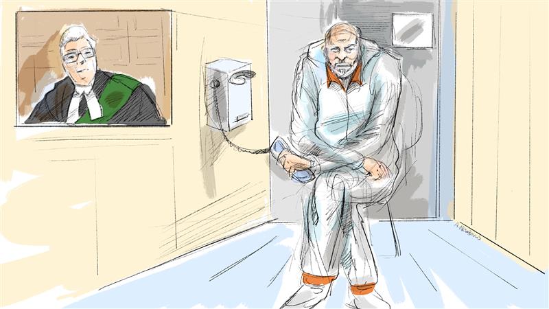 Toronto man, 81, gets life sentence for driving down late common-law ...