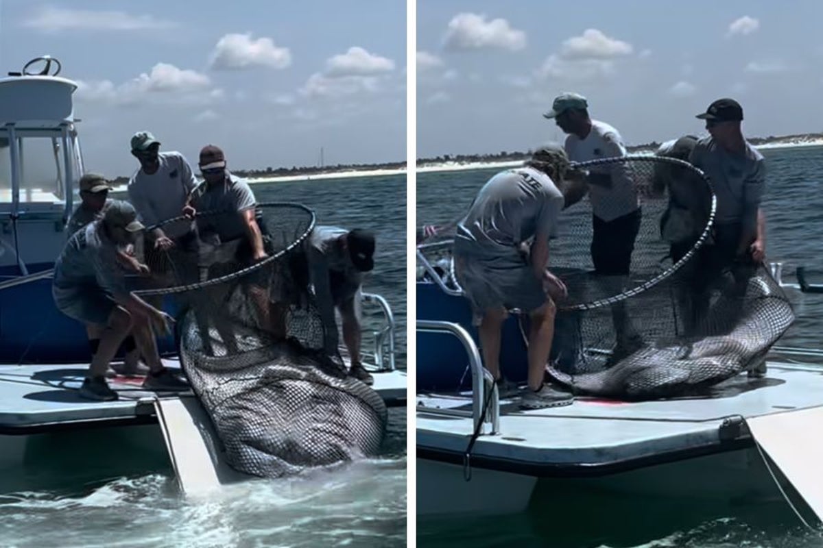 Outrage after video shows Florida fishing group capturing protected ...