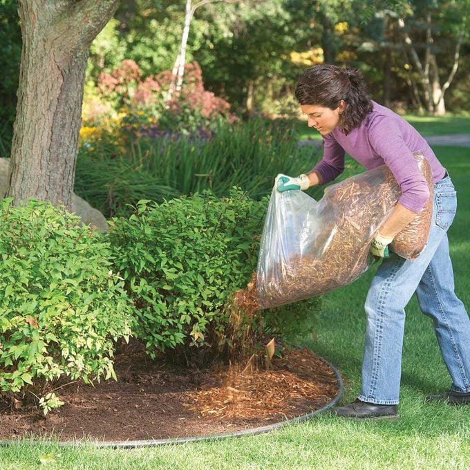 Design Ideas for Front Yard Landscaping Without Plants