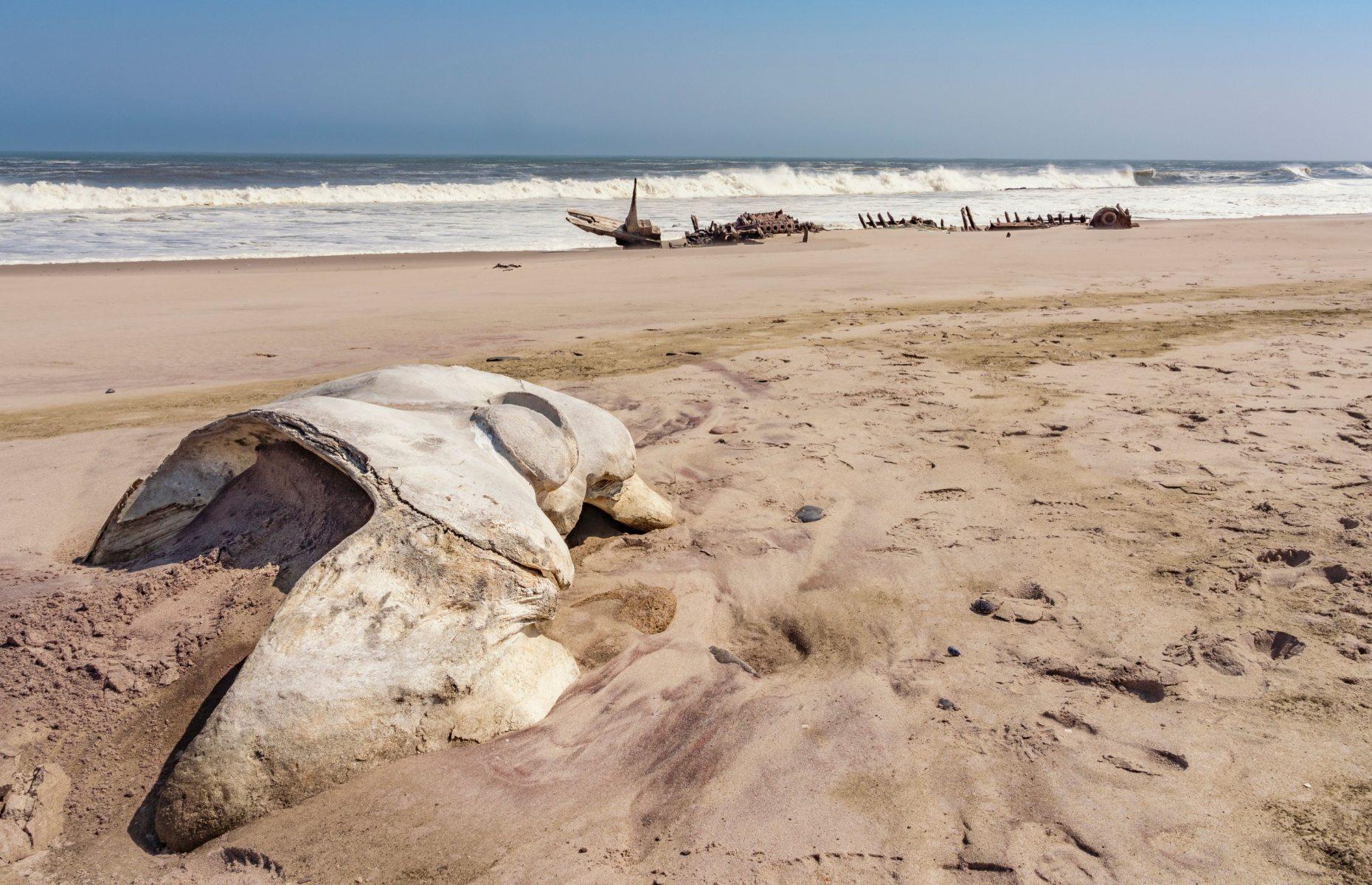 26 Of The World's Most DANGEROUS Beaches