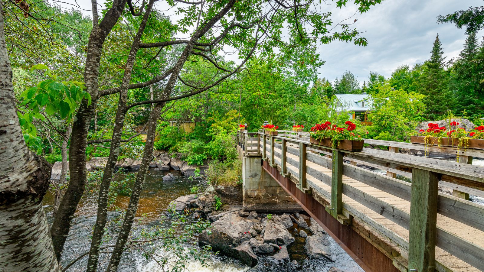 29 Canadian Forest Escapes That Will Heal Your Soul