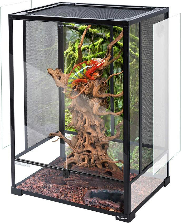 How Do I Set Up a Proper Terrarium?