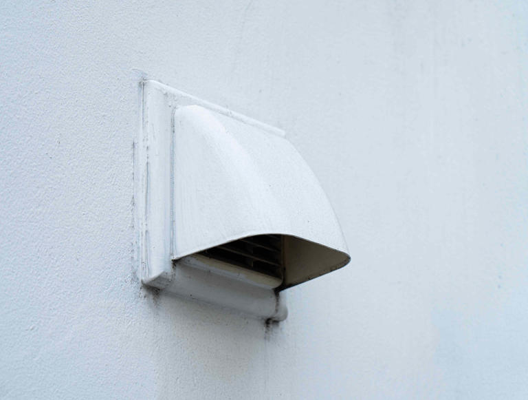 Found a bird nest in your dryer vent? Here’s exactly what to do