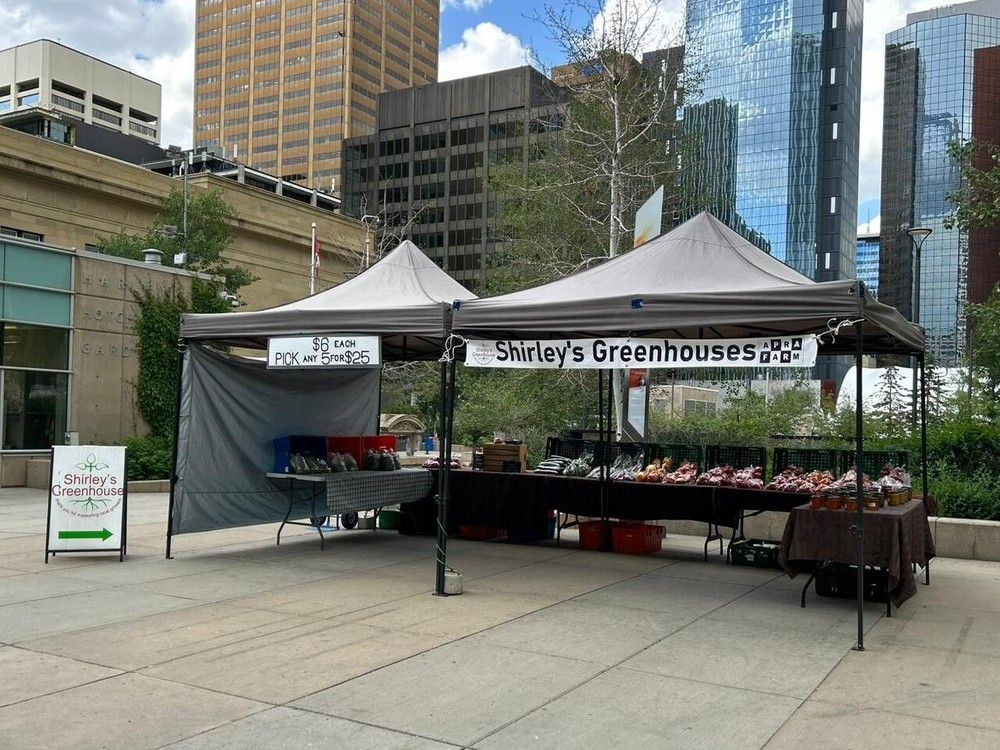 Farm Stand Program success sees more than a half dozen new locations ...