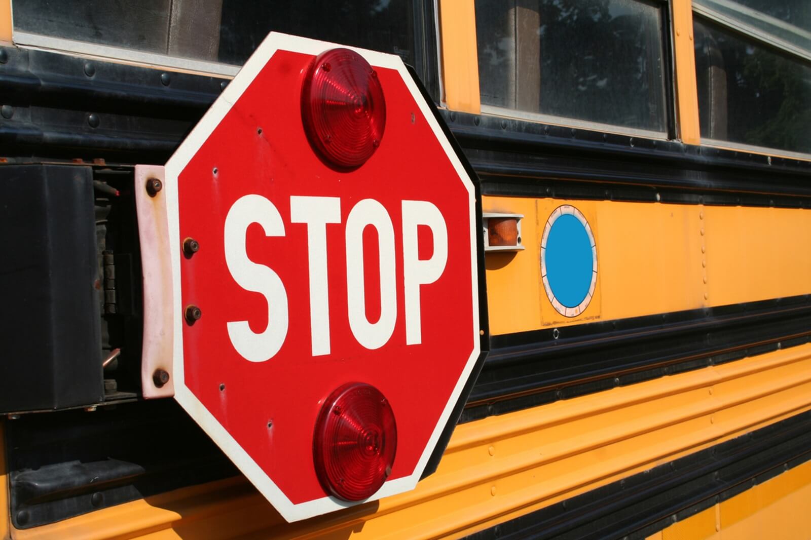 Driver decides to skip around traffic at school bus stop, gets instant ...