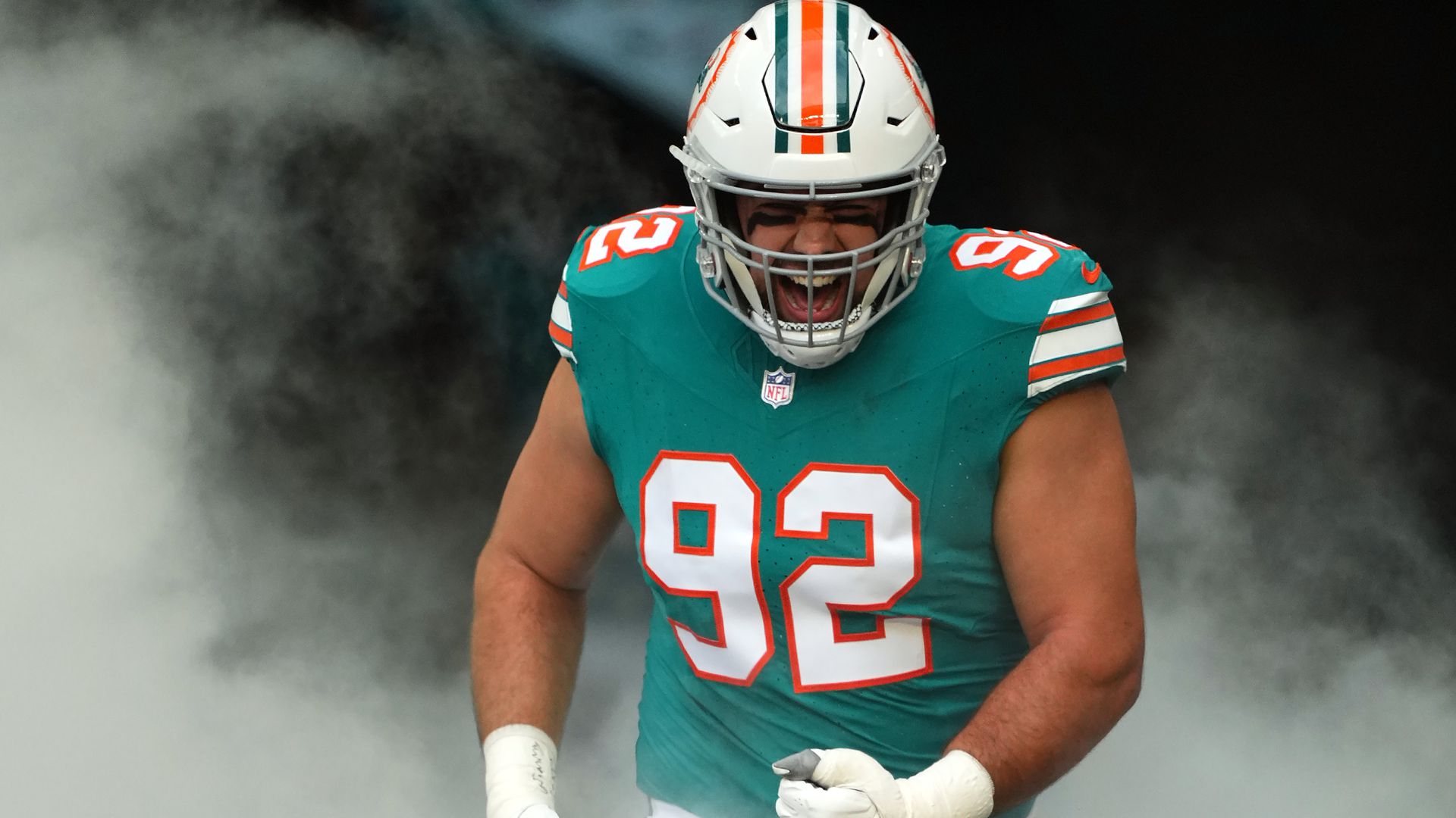 Your Miami Dolphins Team Leaders
