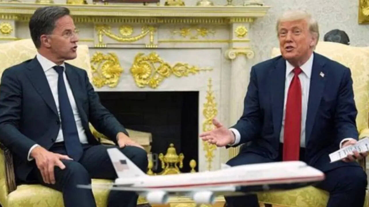 'Make Phone Call To Vladimir Putin...': NATO Chief's 'Slam Back ...