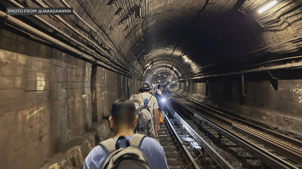 50-year-old downed cable caused mass evacuation of Blue Line train in ...