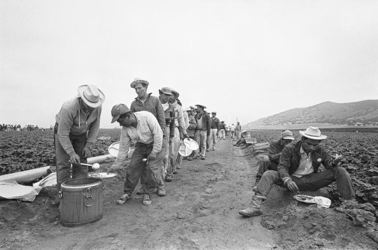 Bracero Program 2.0 Act proposed by South Texas lawmaker to legally ...