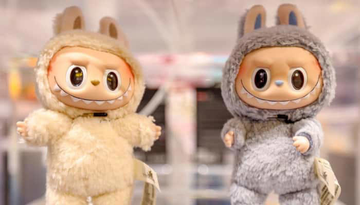 Are Labubu Dolls Really Possessed? Here's Why People Are Burning The Viral Toy Taking The World ...