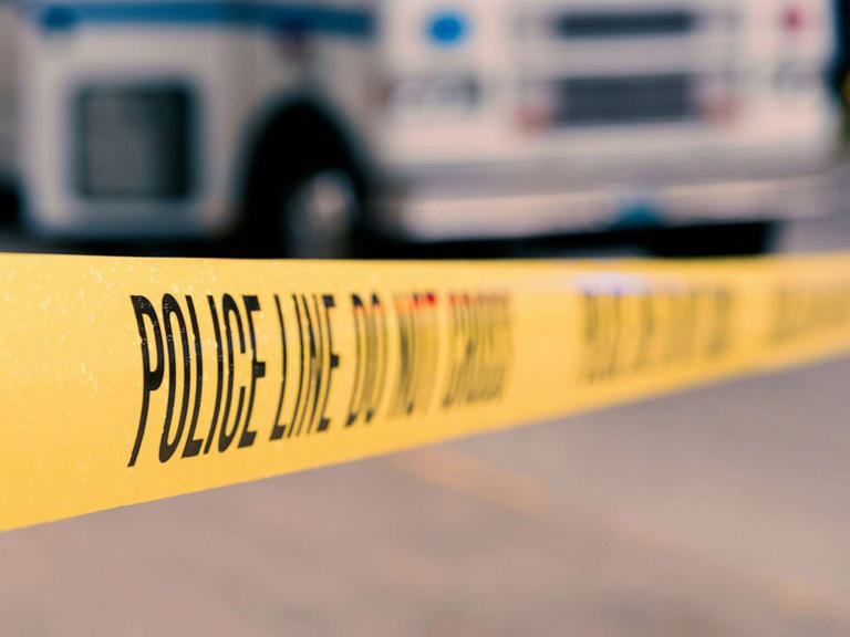 Minnesota woman dead after suspected shark attack in US Virgin Islands