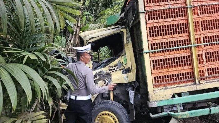 Bus ANS Ditumpangi Malaikat Maut, Lukai Sopir dan Cabut Nyawa Kernet Truk di Sijunjung
