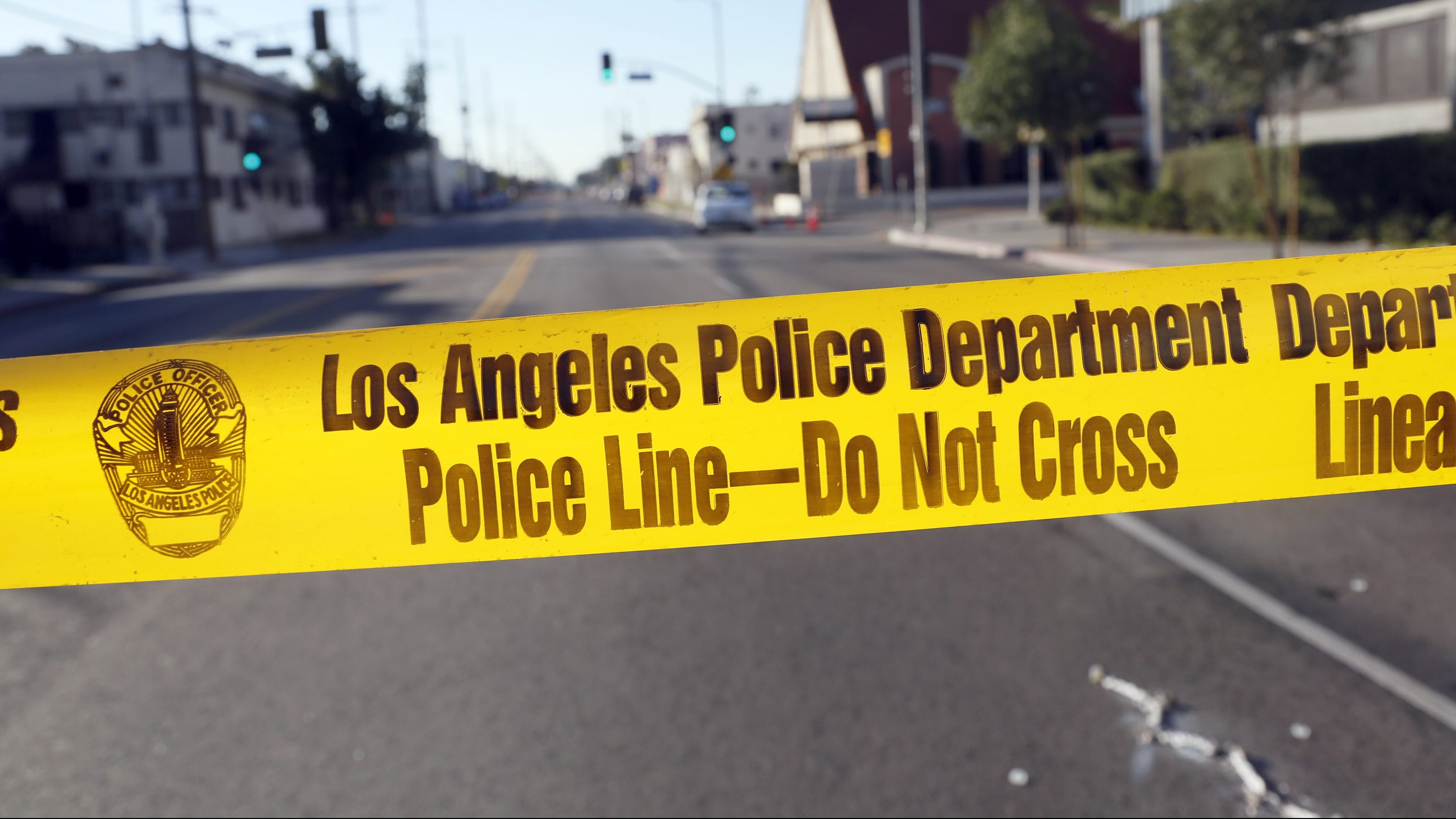 Suspect Charged With Murder In Deaths Of ‘American Idol' Veteran Robin ...