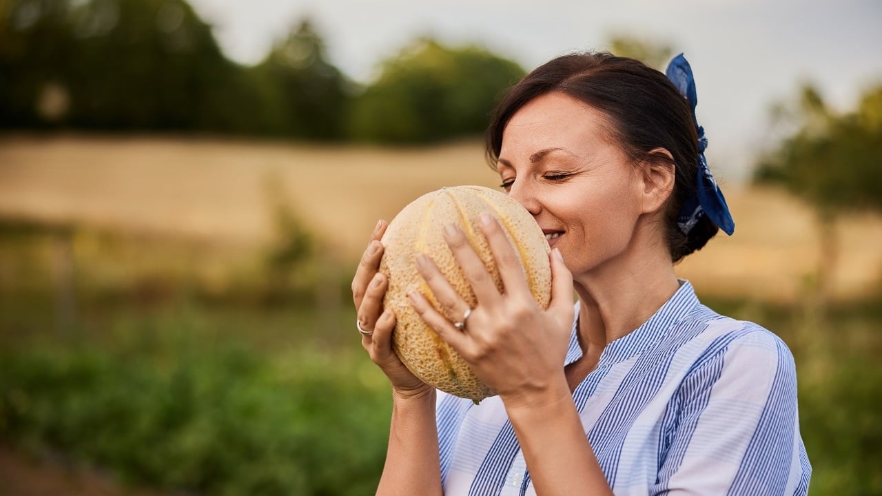 Elle cultive des melons depuis 20 ans, son astuce pour choisir le ...